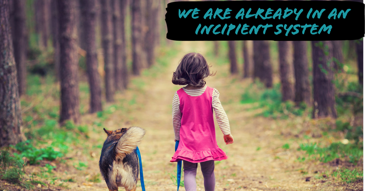 Chapter 2: Schools as Places of Becoming: The Incipient System ...