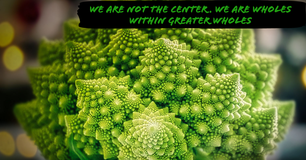 The Holon: Toward a consciousness that we are both parts and wholes ...